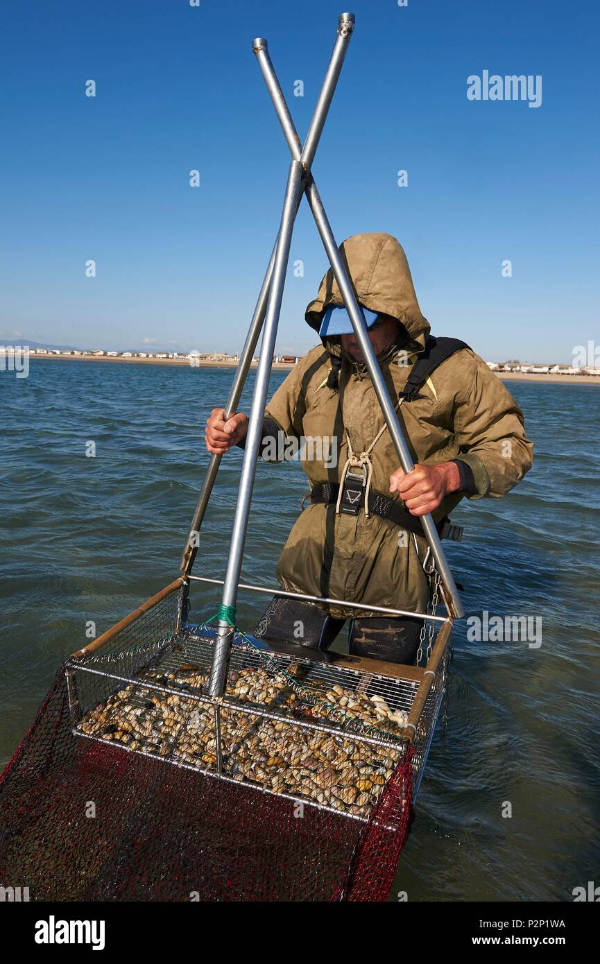 Tenille hi-res stock photography and images - Alamy