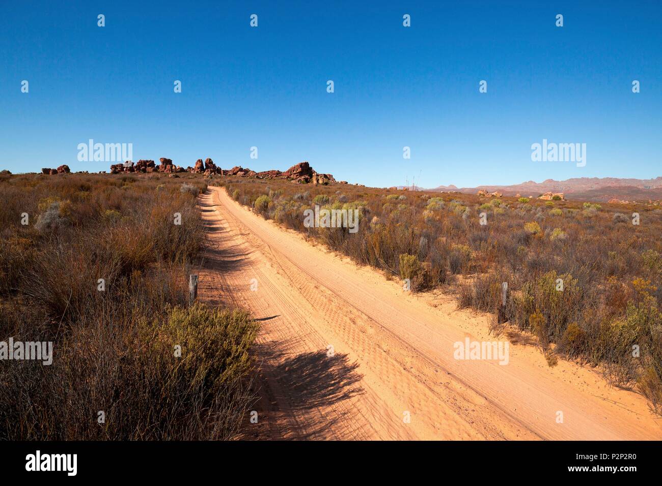 South Africa, Western Cape, sandy track in the heart of the Cederberg ...