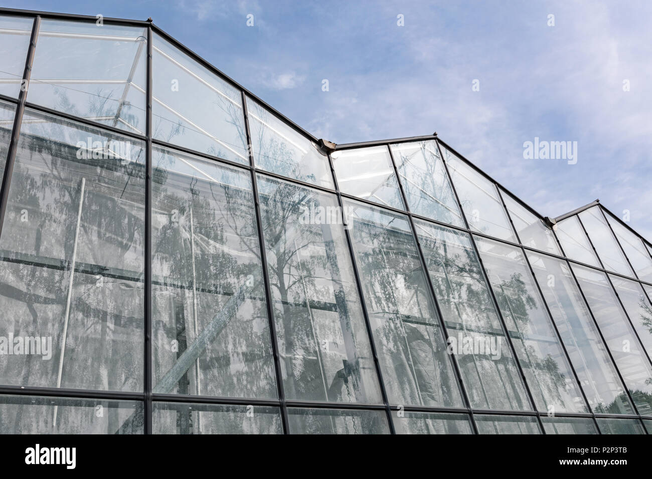 greenhouse in botanical garden. glass facade with reflections of trees ...