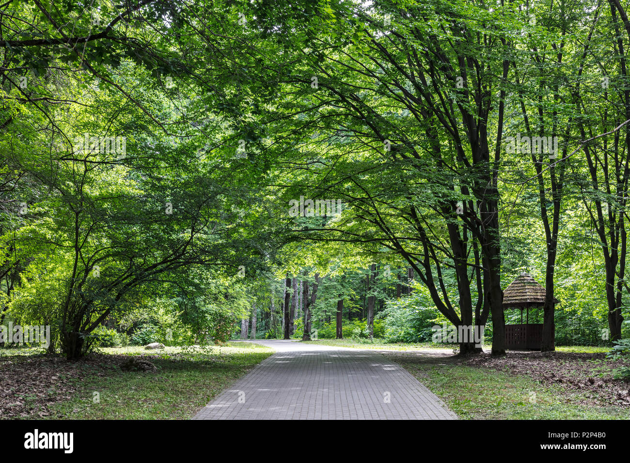 Pathway walkway hi-res stock photography and images - Alamy