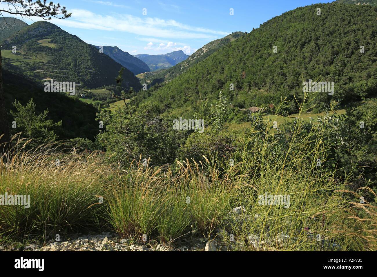 Volvent hi-res stock photography and images - Alamy