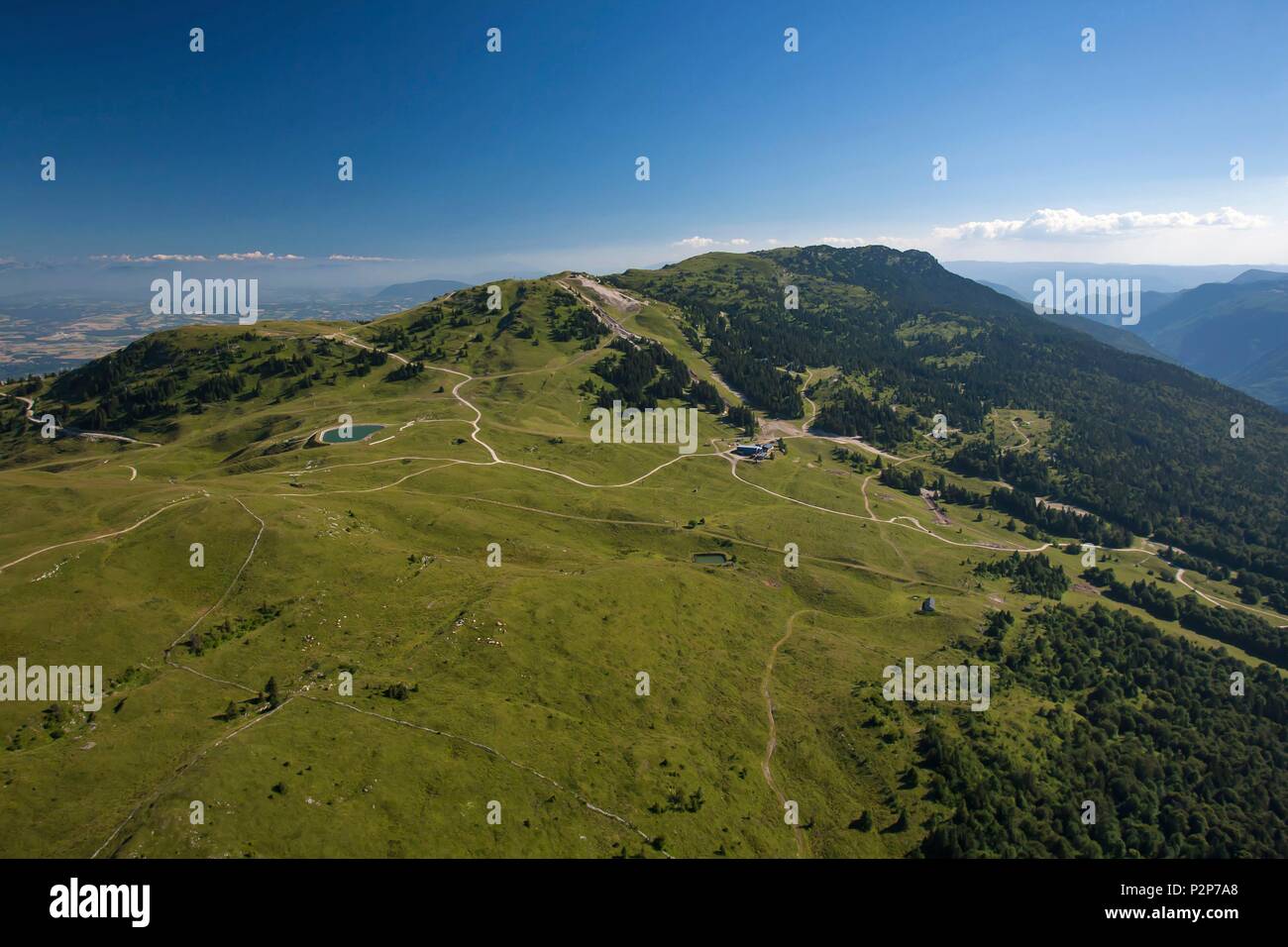 Lelex hi-res stock photography and images - Alamy