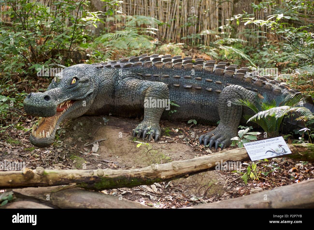 Sarcosuchus Planet Dinosaur