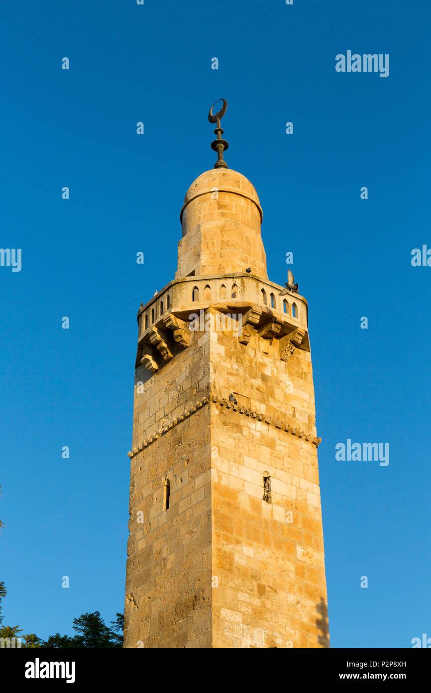 Israel, Jerusalem, the UNESCO World Heritage Old Town, the tower of the ...