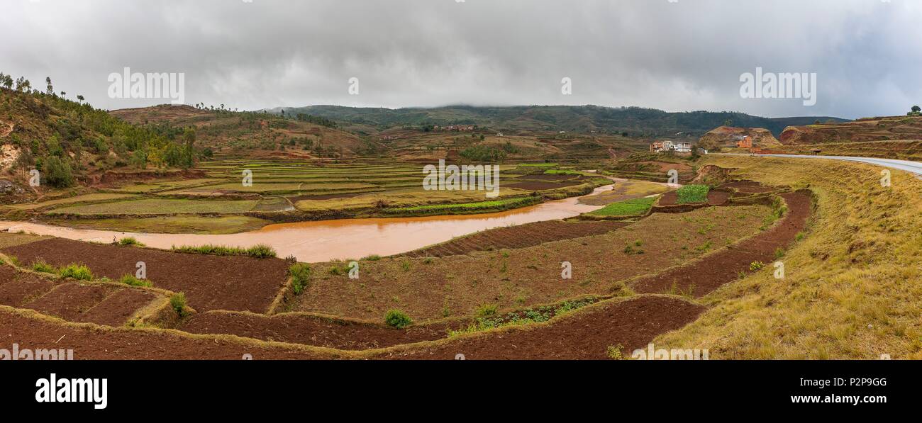 Antanifotsy madagascar hi-res stock photography and images - Alamy