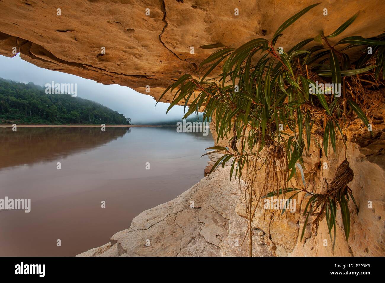 Madagascar, Menabe region Bemaraha massif, the river Tsiribihina Stock ...