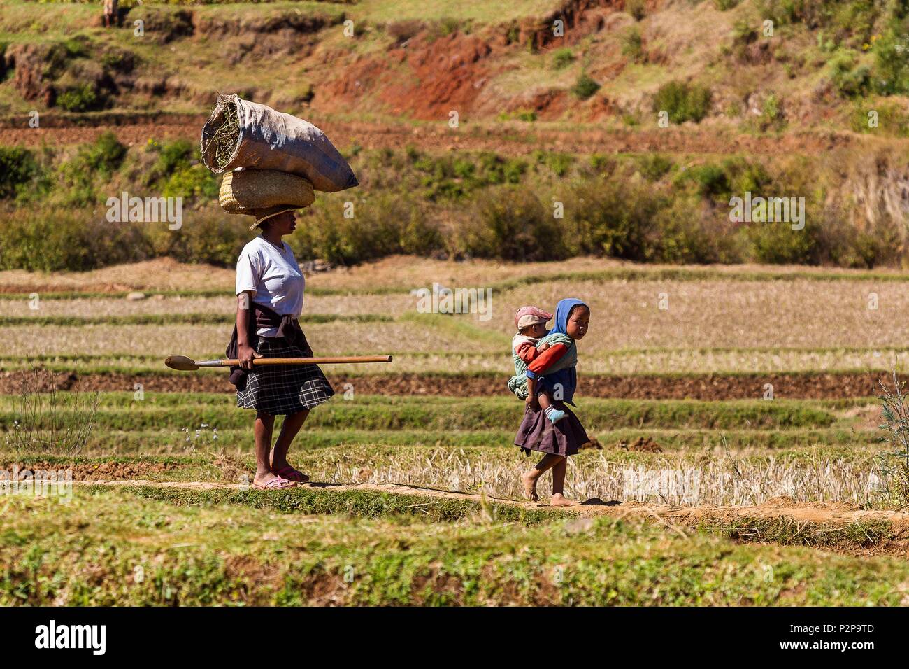 Madagascar, Central Highlands, Antsirabe region, rice fields towards ...