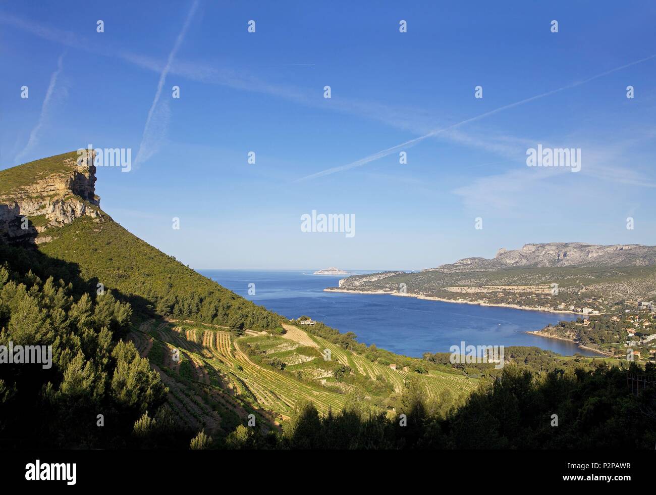 Cassis vineyard clos sainte magdeleine hi-res stock photography and ...