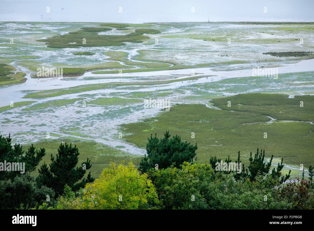 Arteaga hi-res stock photography and images - Alamy