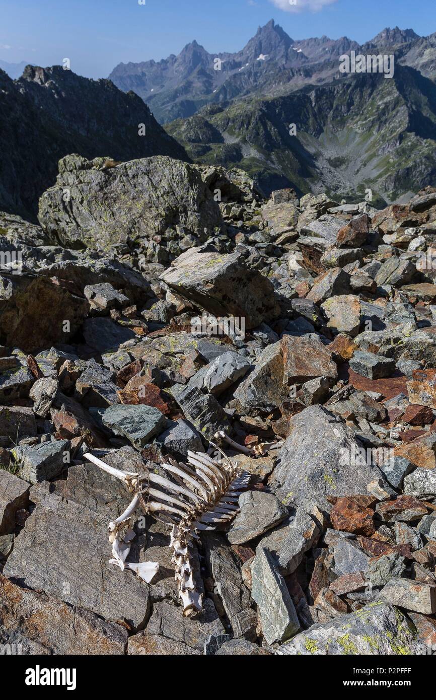 Skeleton mountain hi-res stock photography and images - Alamy