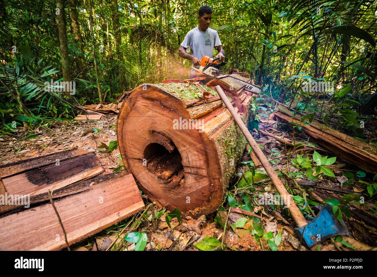 France, French Guiana, Kourou, Wapa Lodge, Carpenters cutting a red ...
