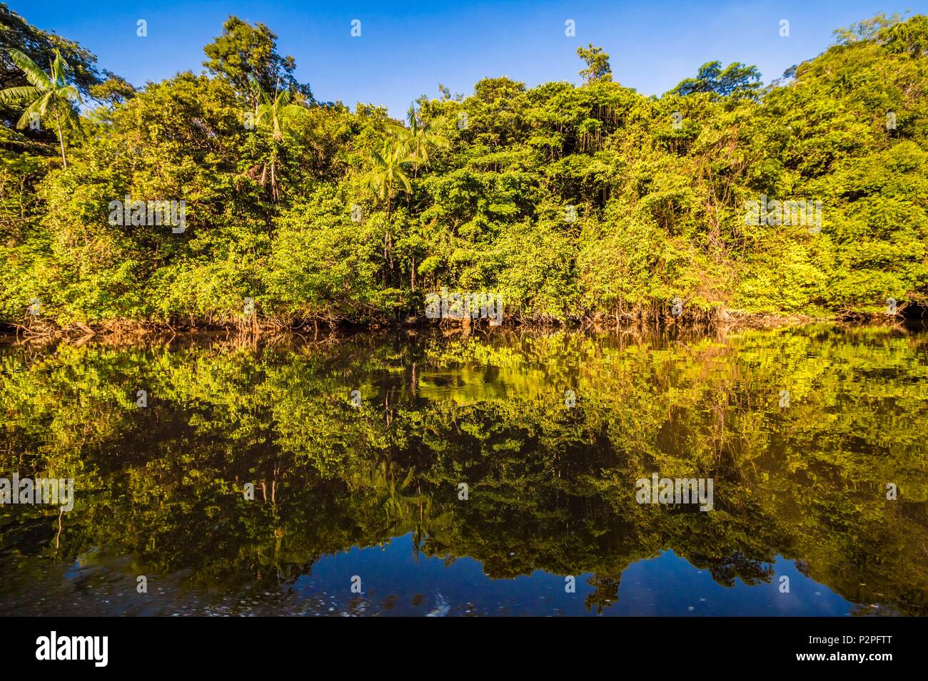 France, French Guiana, Kourou, Camp Canopee, Bank of the Kourou River ...