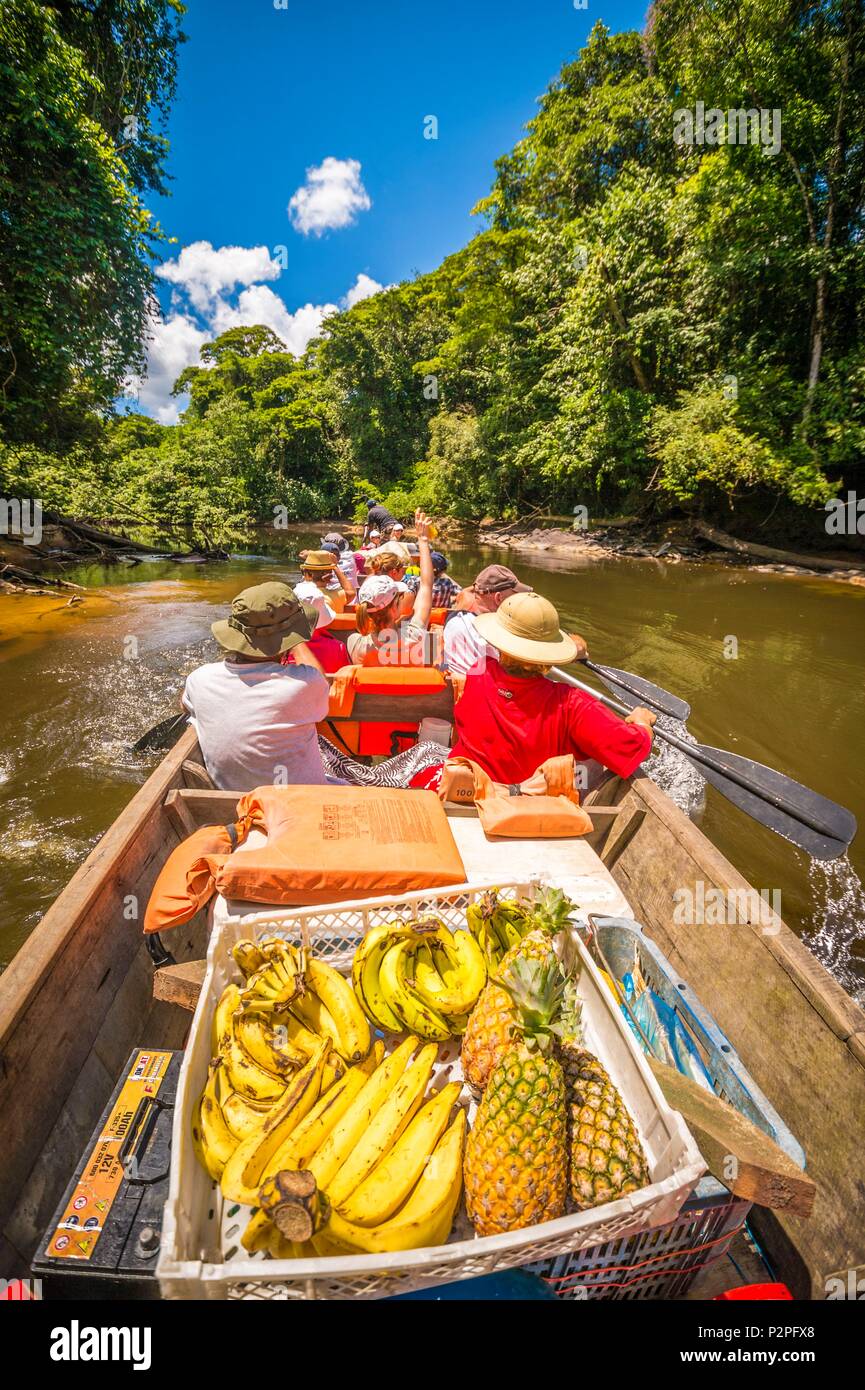 Man in pirogue hi-res stock photography and images - Alamy