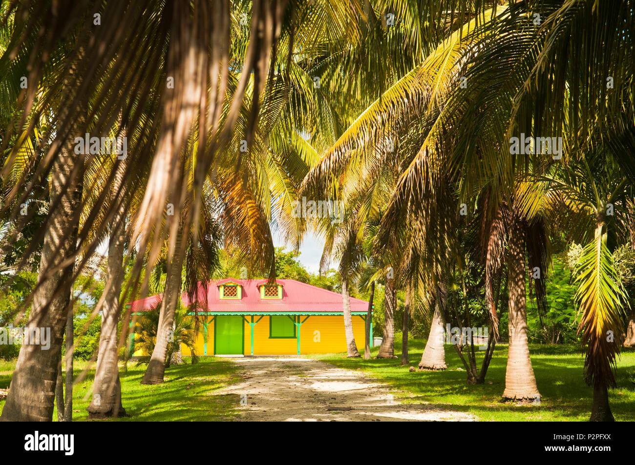 Coconut factory caribbean hi-res stock photography and images - Alamy
