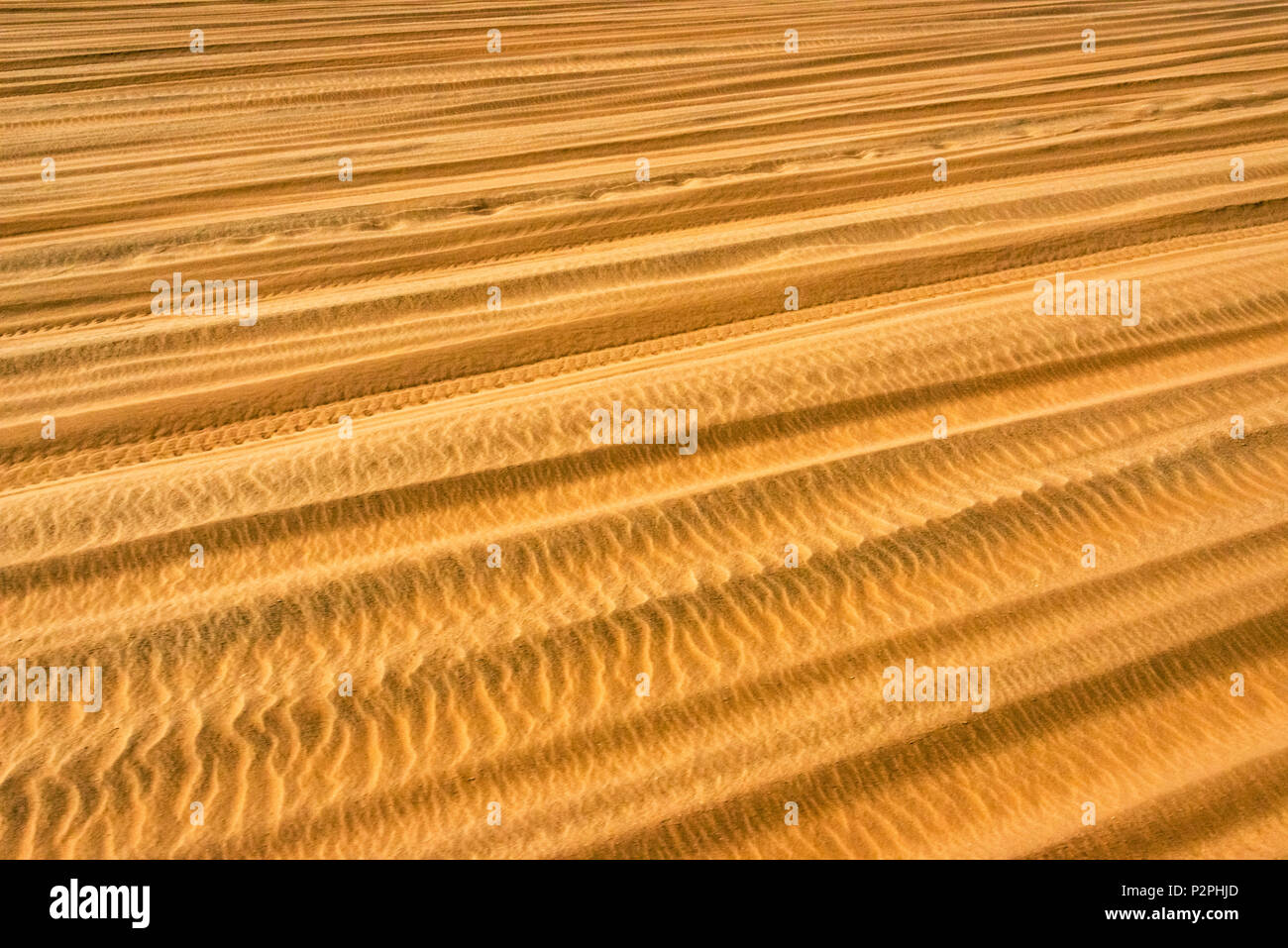 Red sand in southern Namib Desert, Sossusvlei, Namib-Naukluft National ...