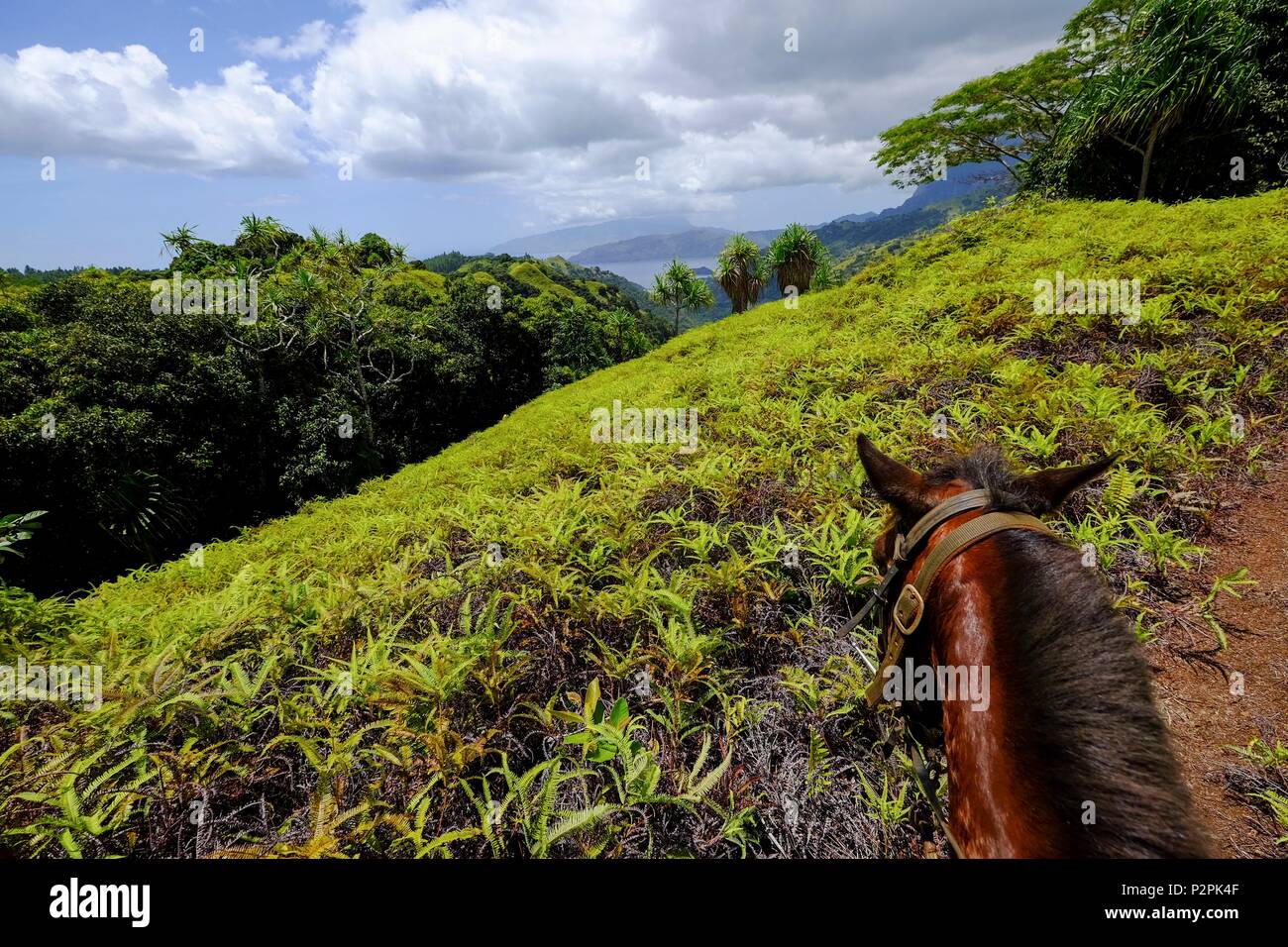 Hiva oa island hi-res stock photography and images - Alamy