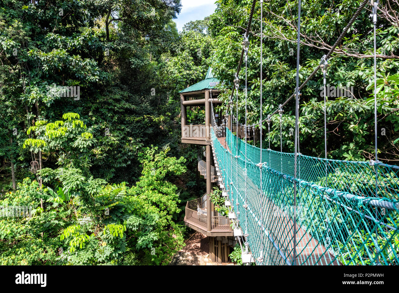 Kl forest eco park hi-res stock photography and images - Alamy