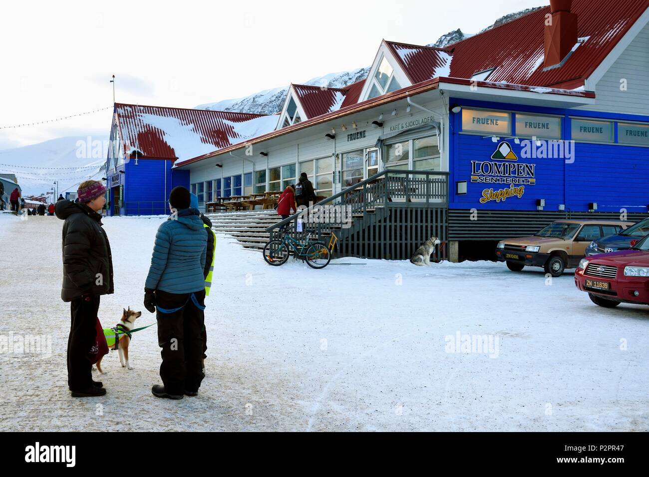 Svalbard dog hi-res stock photography and images - Alamy