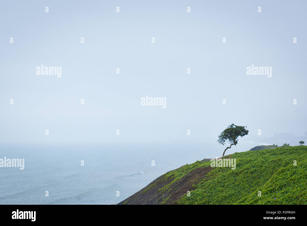 Tree at the edge Stock Photo - Alamy