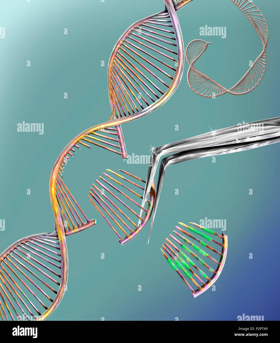 Crispr protein hi-res stock photography and images - Alamy