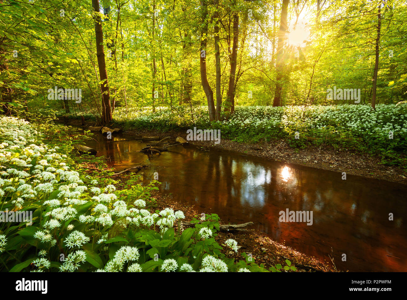 Leipzig river hi-res stock photography and images - Alamy