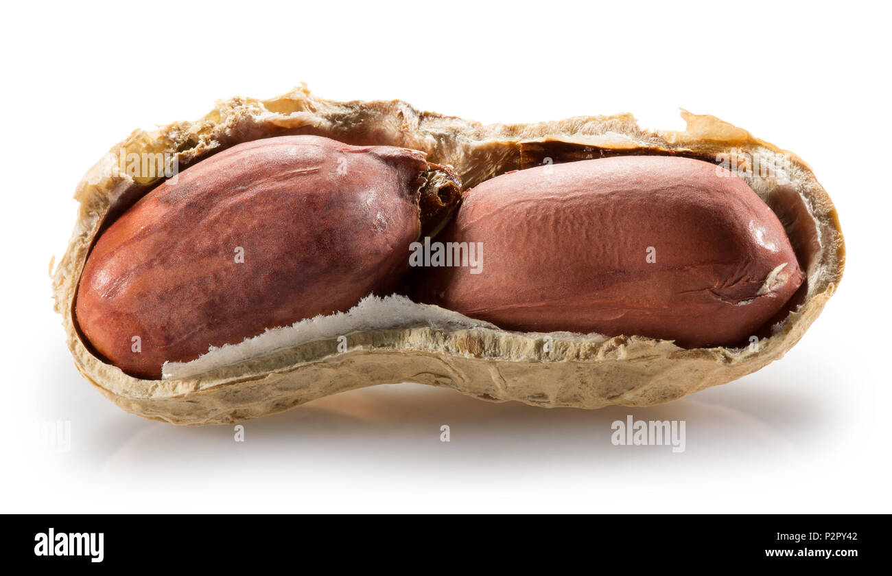 peanuts in shell isolated on a white background Stock Photo - Alamy
