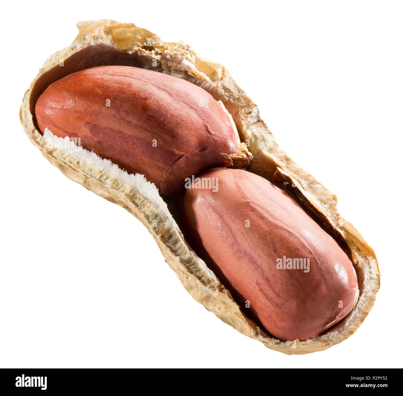 peanuts in shell isolated on a white background Stock Photo - Alamy