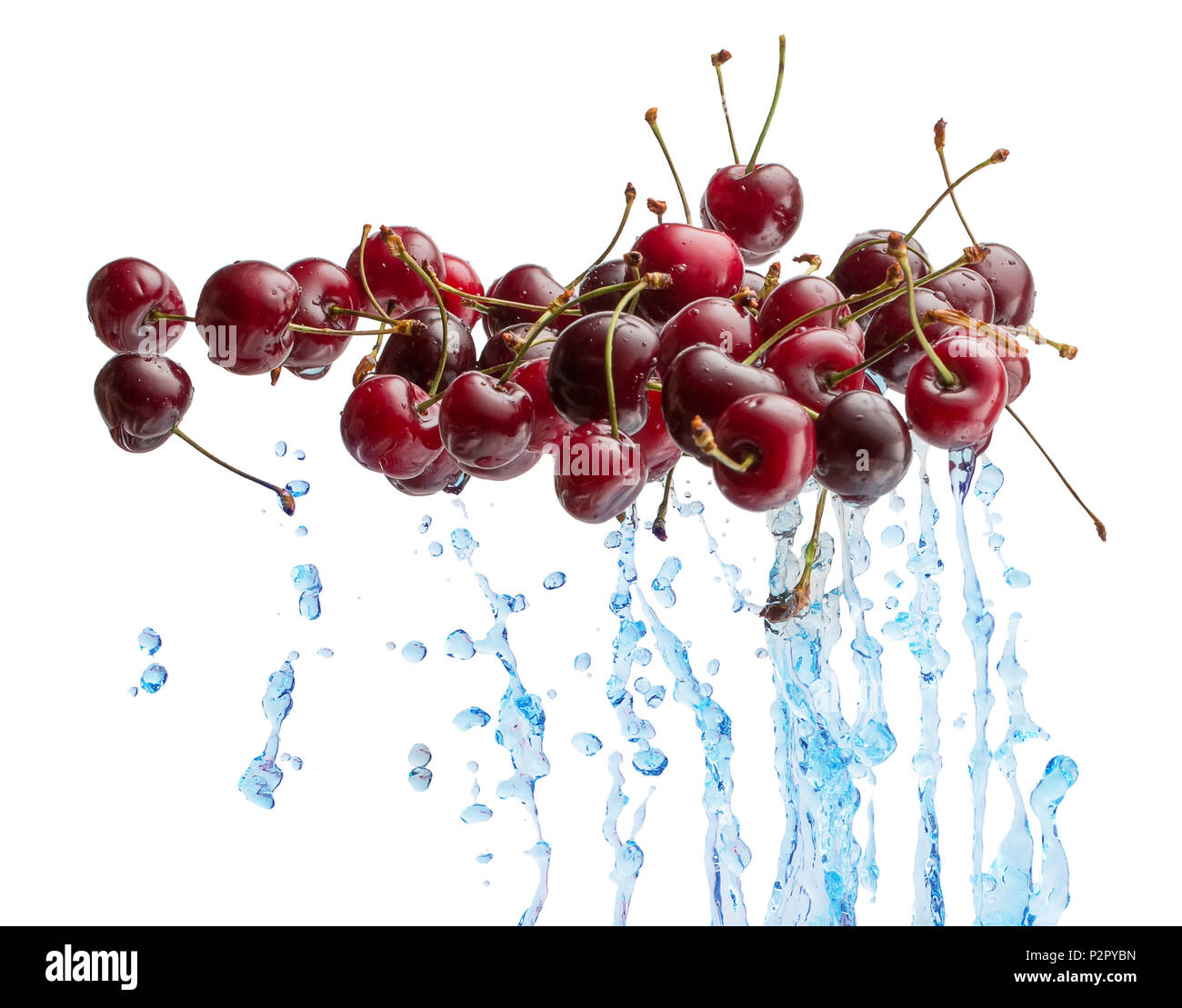 sweet cherries in water splash isolated on a white background Stock ...