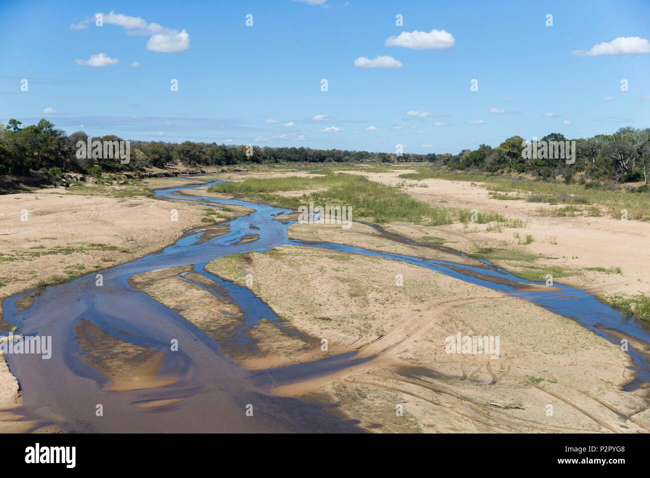 South Africa, Mala Mala game reserve, Landscape of the savannah and the ...