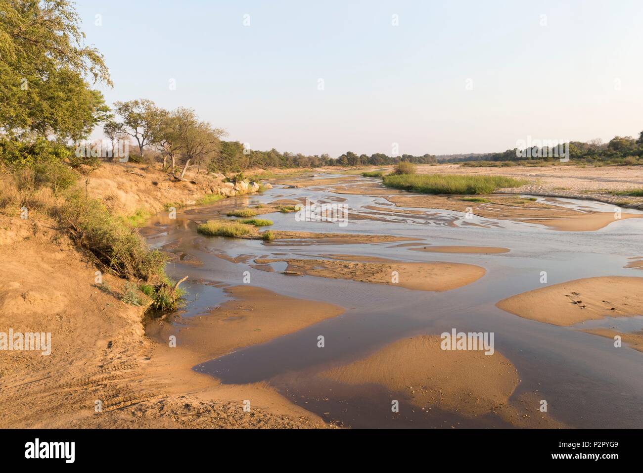 South Africa, Mala Mala game reserve, Landscape of the savannah and the ...