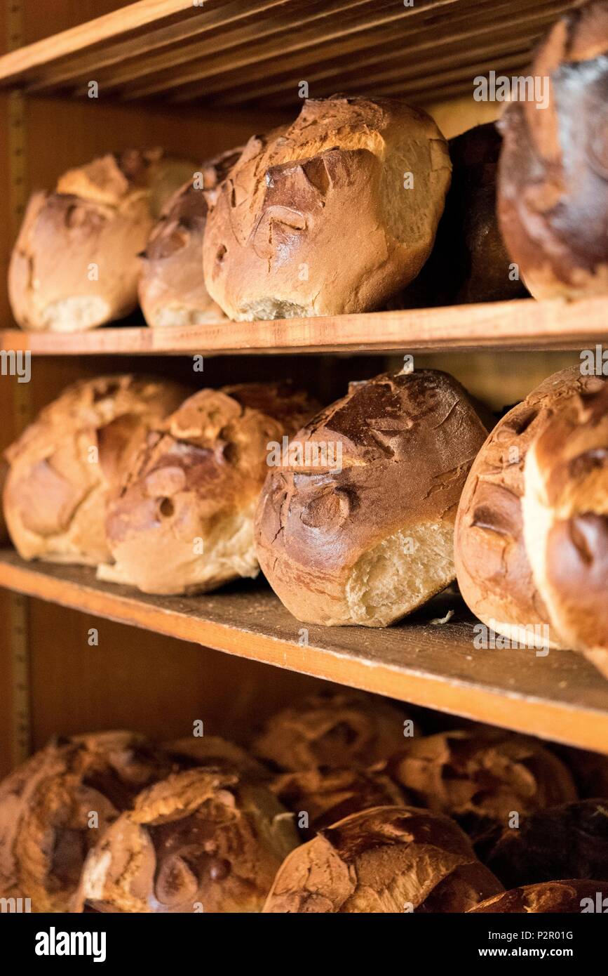 France, Morbihan, Saint Armel, the Moulin à Café and its famous goch ...