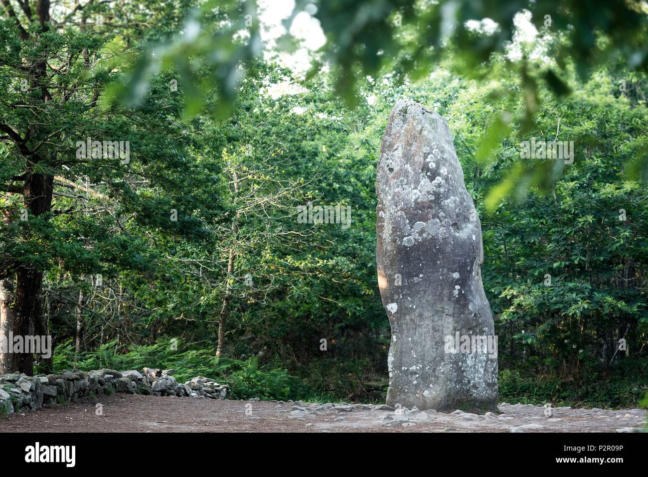 France, Morbihan, Carnac, menhir the giant of Manio Stock Photo - Alamy