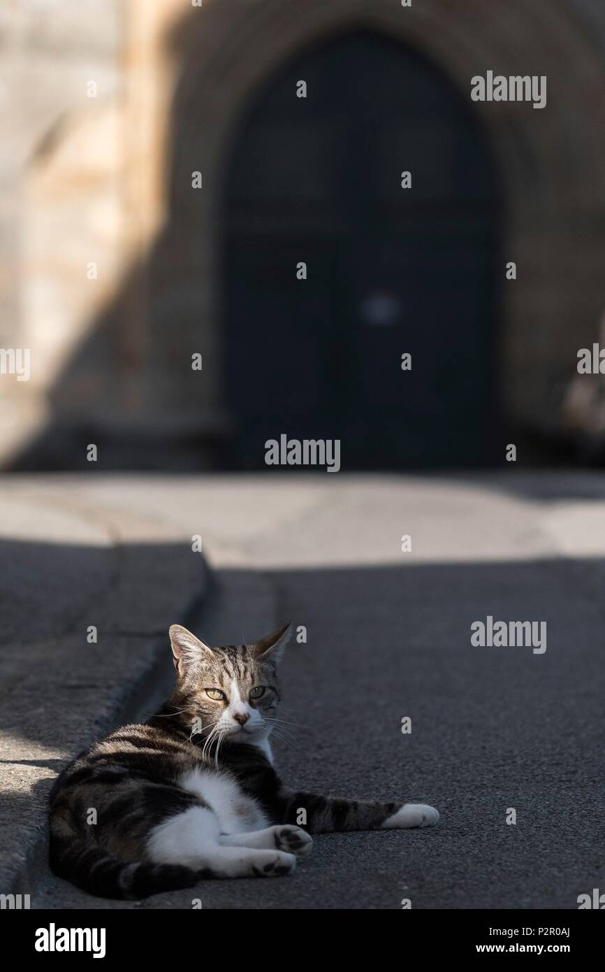 Saint goustan church hi-res stock photography and images - Alamy