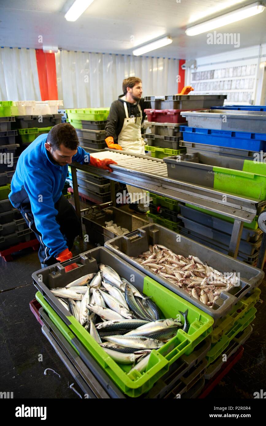 Man loading food hi-res stock photography and images - Alamy