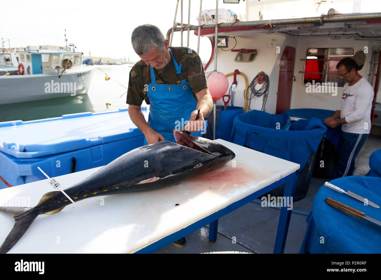 Longline fishing tuna hi-res stock photography and images - Alamy