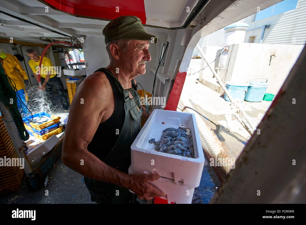 France, Herault, Grau d'Agde, Fishing port, unloading of fish at the ...