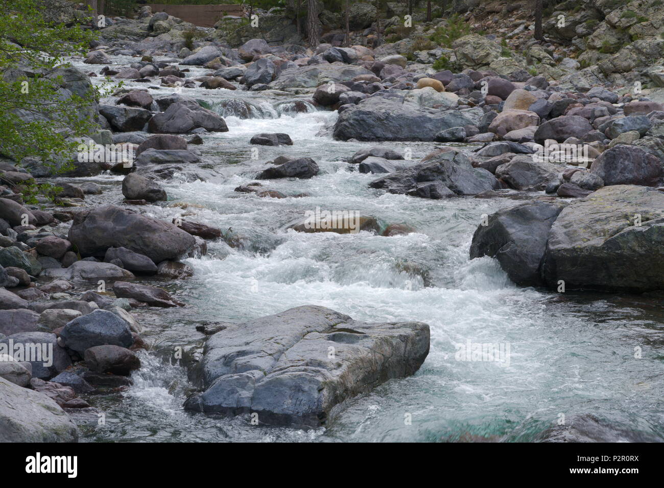 river of sparkling water between stones Stock Photo - Alamy