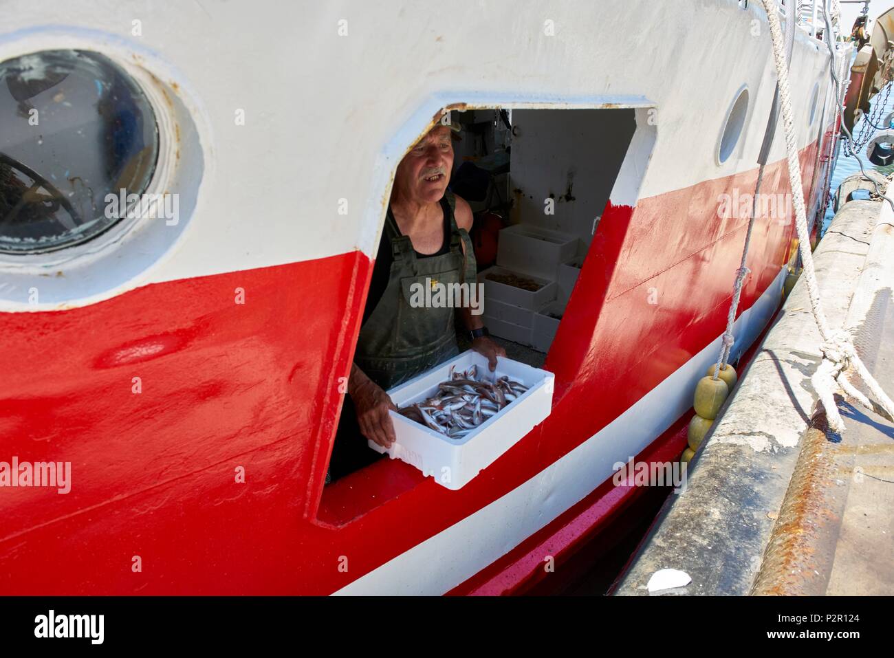 France, Herault, Grau d'Agde, Fishing port, unloading of fish at the ...