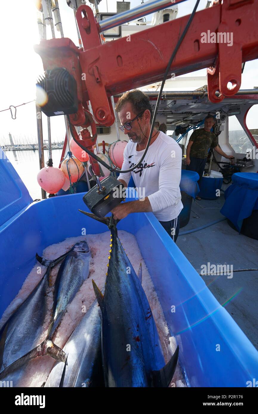 Longline tuna fishing hi-res stock photography and images - Alamy