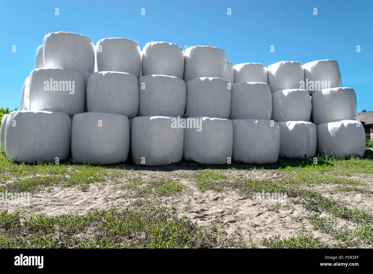 Fermented forage hi-res stock photography and images - Alamy