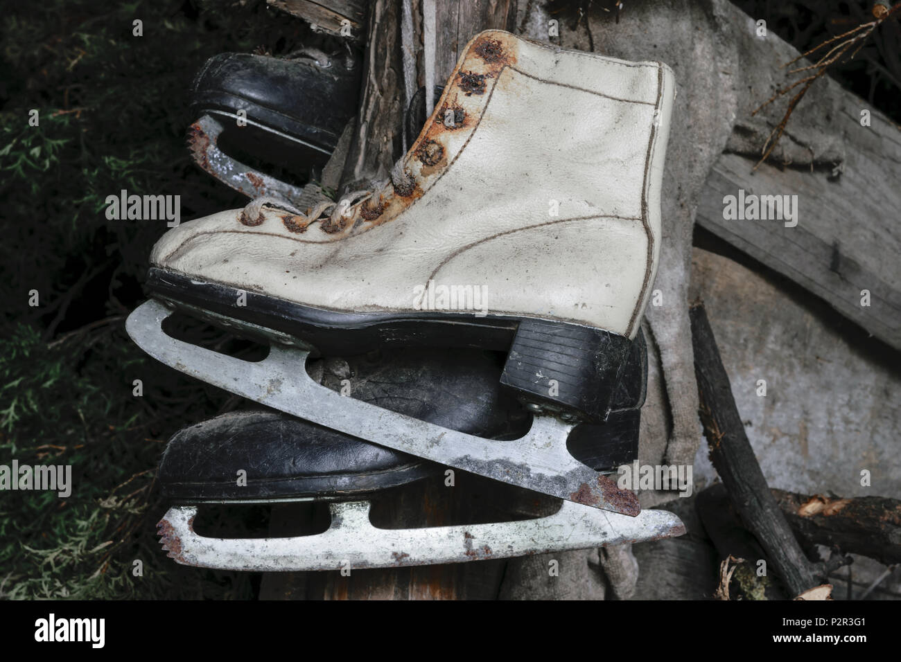 Very old white and black rusty and dirty ice skates hanging in ...