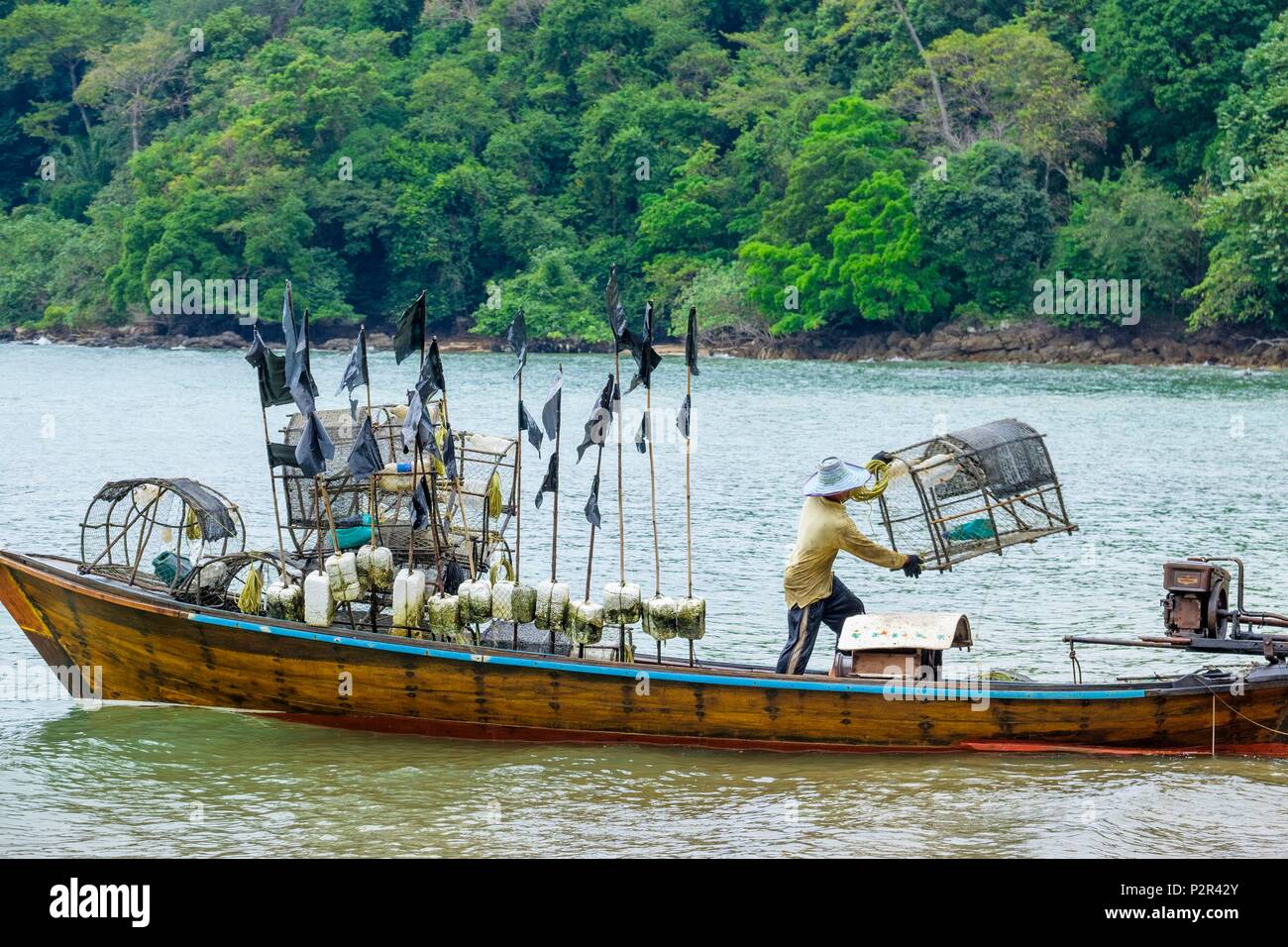 South indian mango hi-res stock photography and images - Alamy