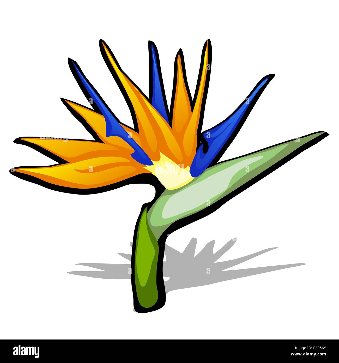 Blooming strelitzia Stock Vector Images - Alamy
