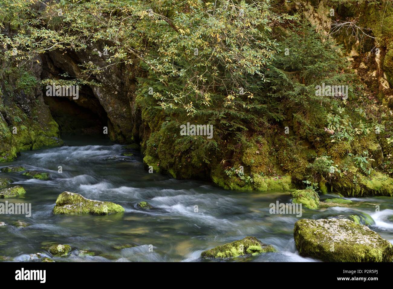France, Doubs, Mouthe, the source of the Doubs river, water gushes from ...