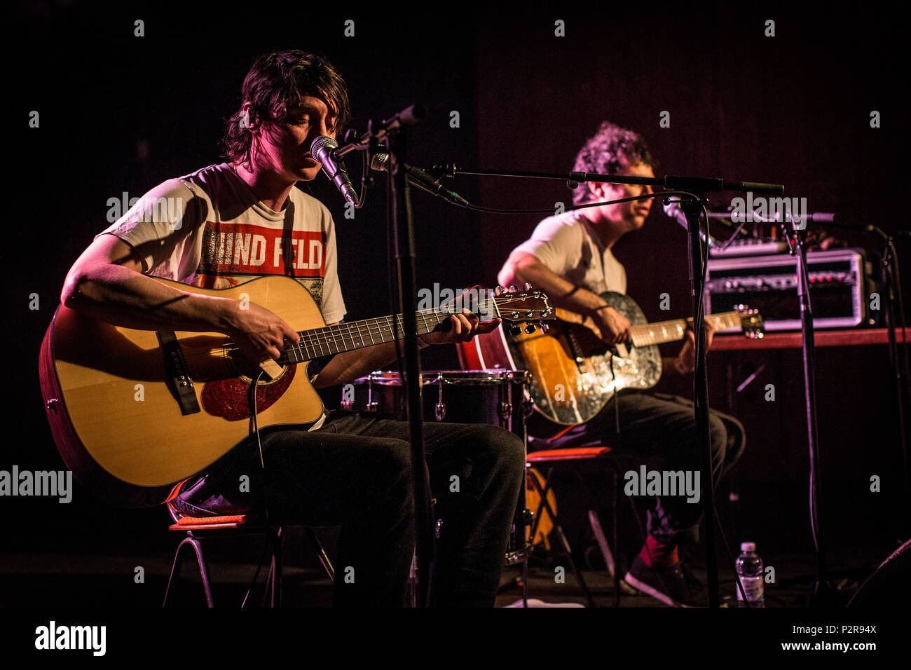 Panda Bear Animal Collective