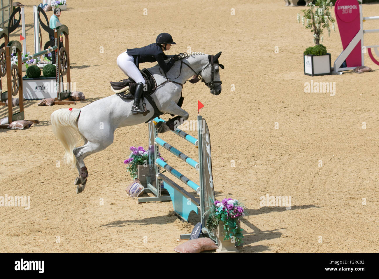 Bayard horse hi-res stock photography and images - Alamy