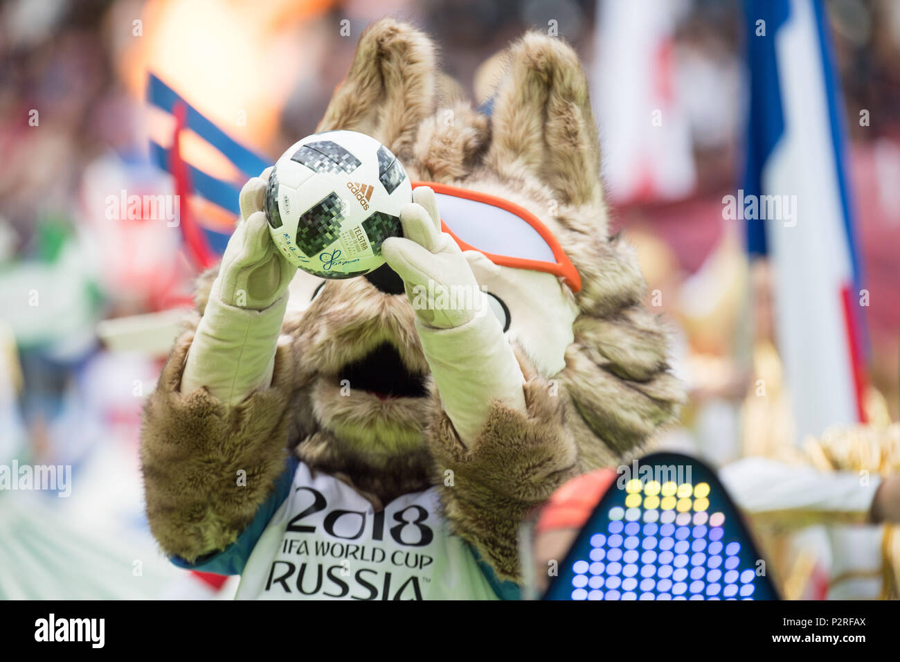 Arabian wolf hi-res stock photography and images - Alamy