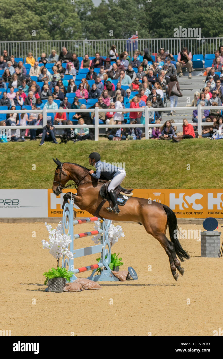 World Class Equestrian sport, British Showjumping competitions, arena ...