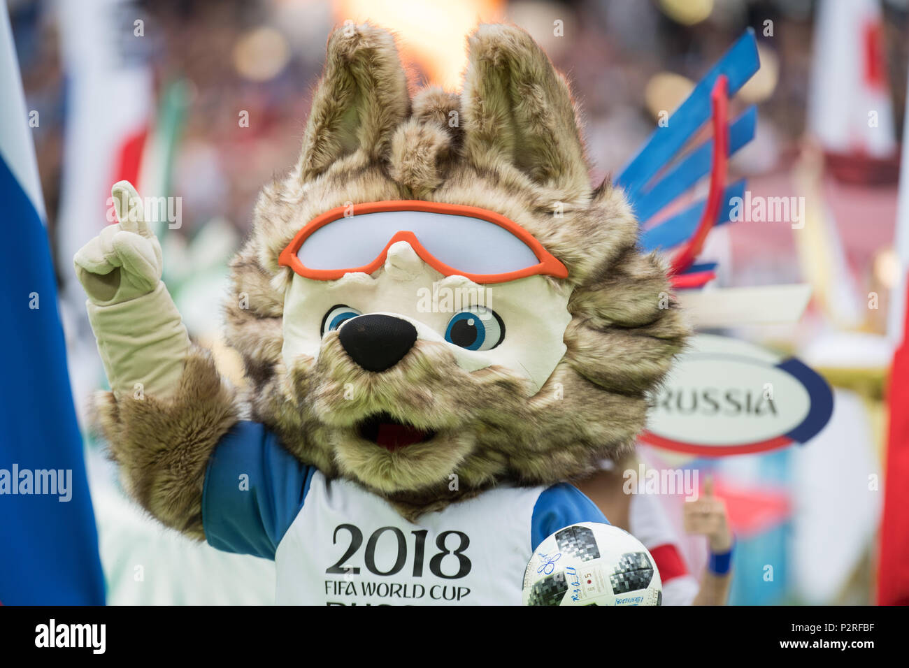 Arabian wolf and saudi arabia hi-res stock photography and images - Alamy