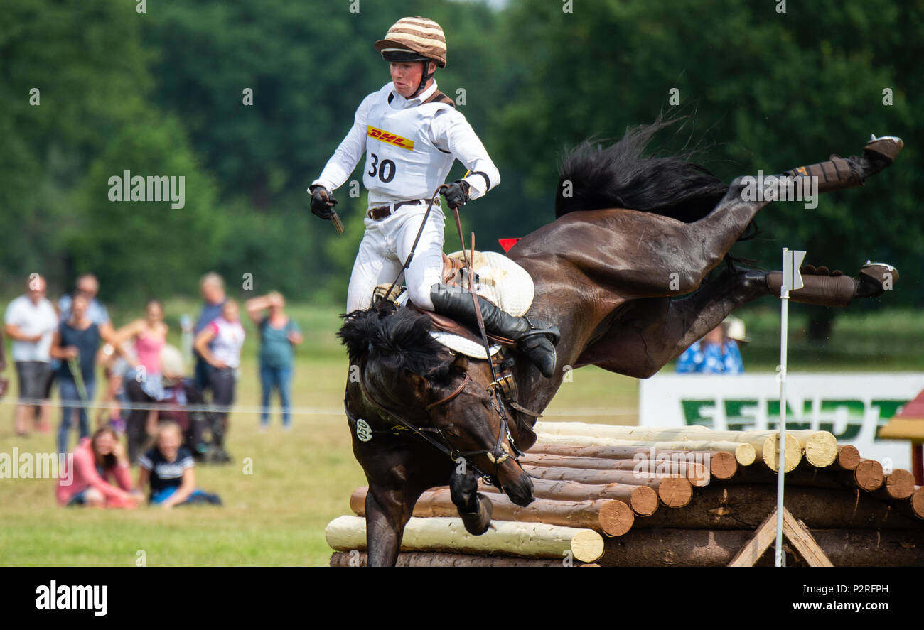 Luhmuehlen, Germany. 16 June 2018, Germany, Luhmuehlen: German ...